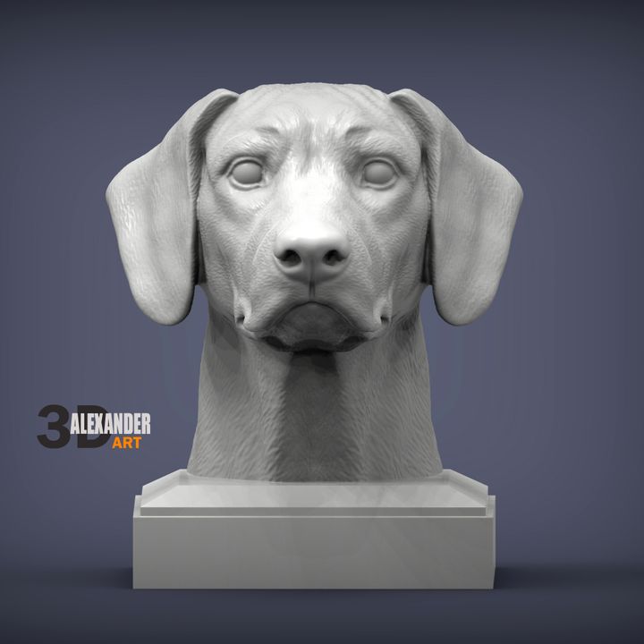 3D Printable rhodesian ridgeback bust by Alexander3dart