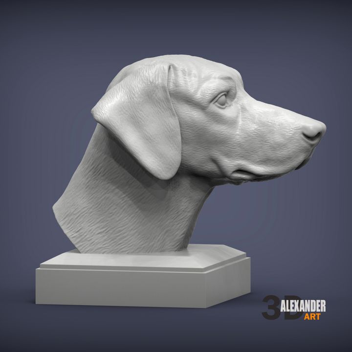 3D Printable rhodesian ridgeback bust by Alexander3dart