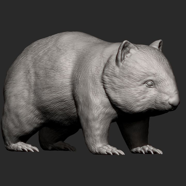 3D Printable Wombat by Alexander3dart