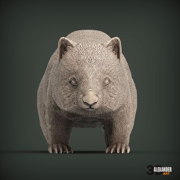 3D Printable Wombat by Alexander3dart