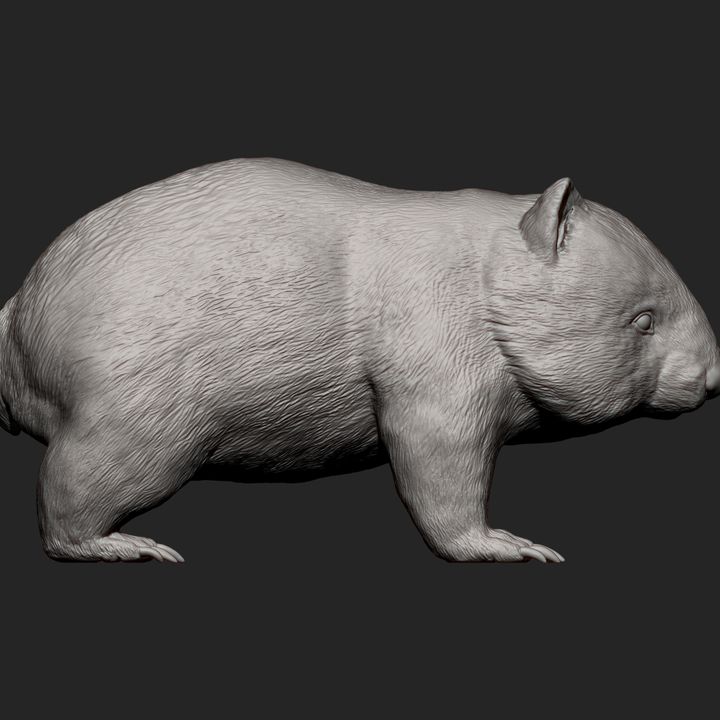 3D Printable Wombat by Alexander3dart