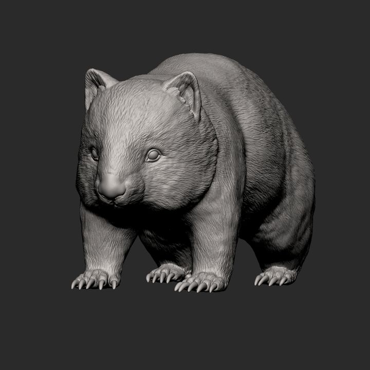 3D Printable Wombat by Alexander3dart
