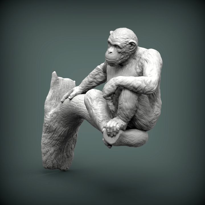 3D Printable chimpanzee by AKUZMENKO