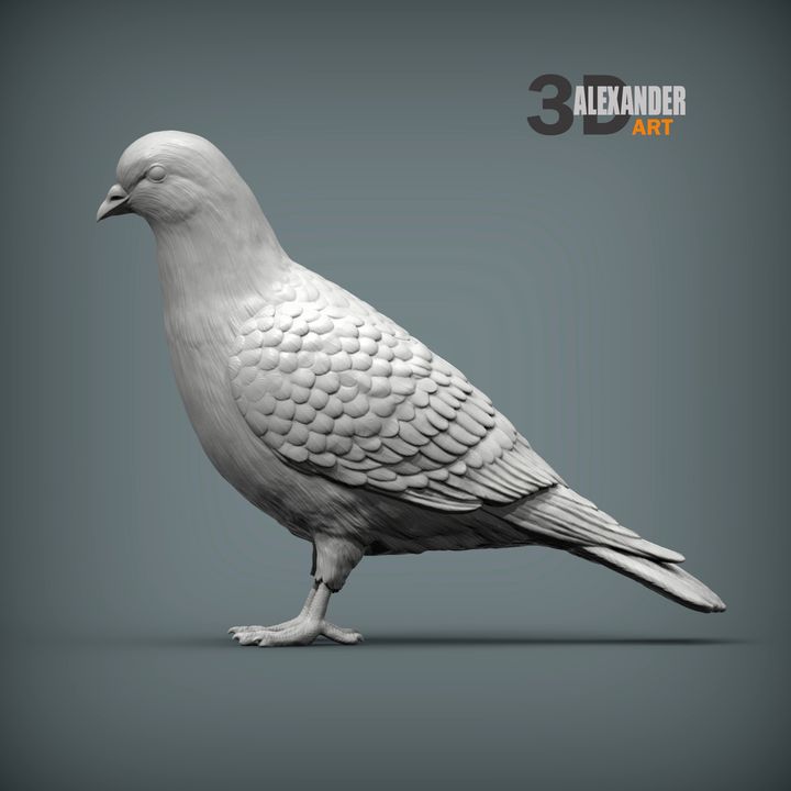 3D Printable Pigeon by Alexander3dart