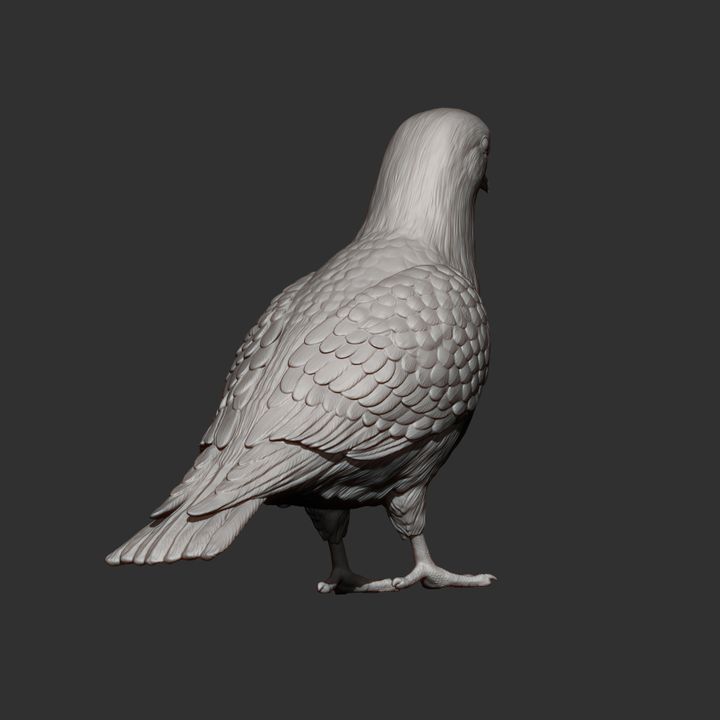 3D Printable Pigeon by Alexander3dart