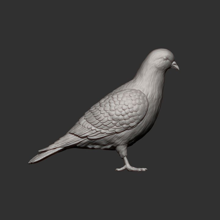 3D Printable Pigeon by Alexander3dart