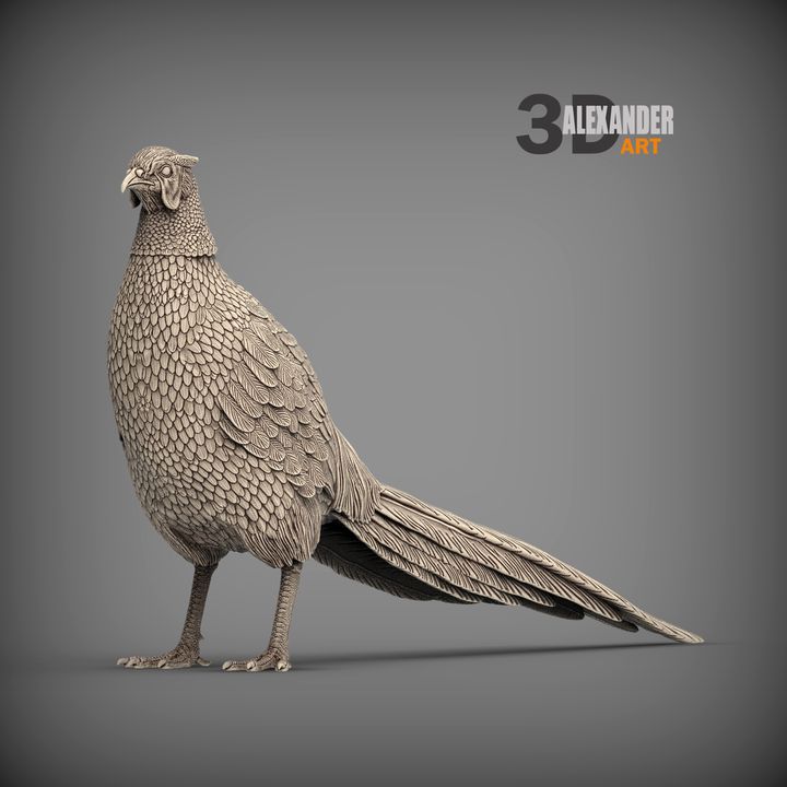 3D Printable Pheasant by Alexander3dart