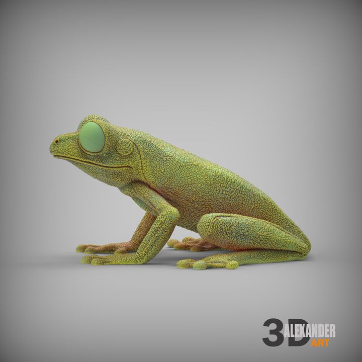 3D Printable red eye tree frog by Alexander3dart