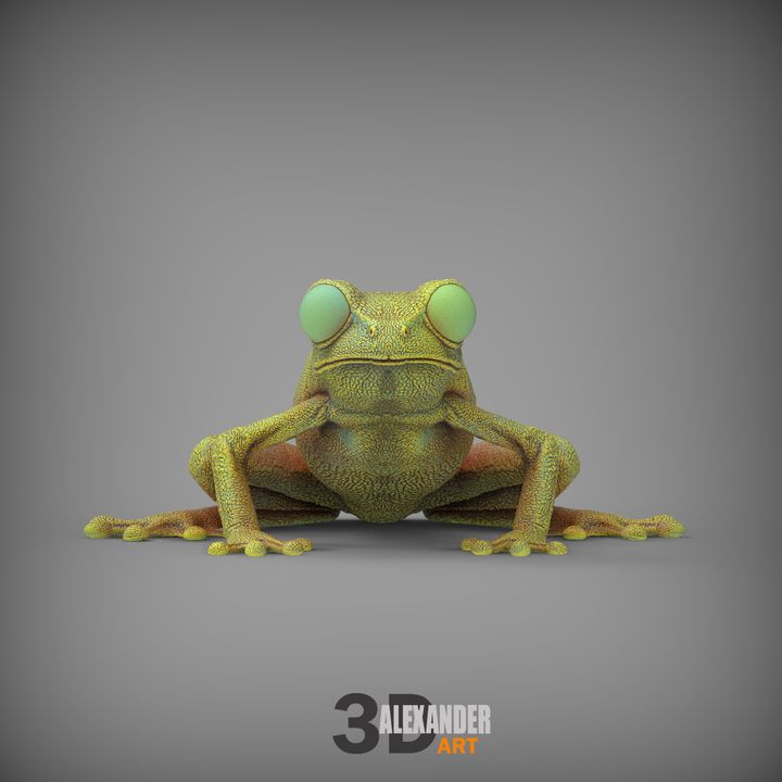 3D Printable red eye tree frog by Alexander3dart