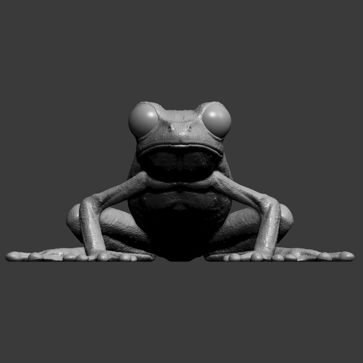 3D Printable red eye tree frog by Alexander3dart