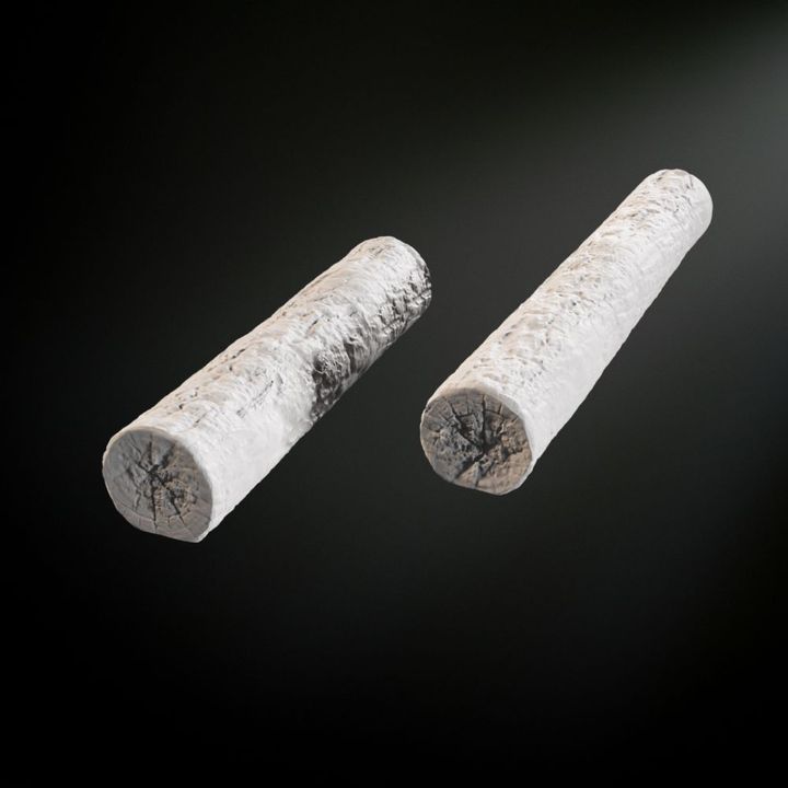 3D Printable Wood Trunk Set by WargamesCo