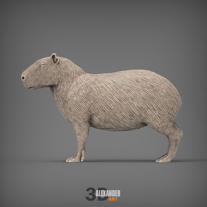 3D Printable capybara by Alexander3dart