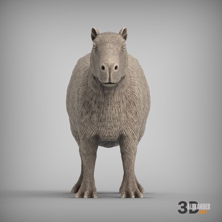 3D Printable capybara by Alexander3dart