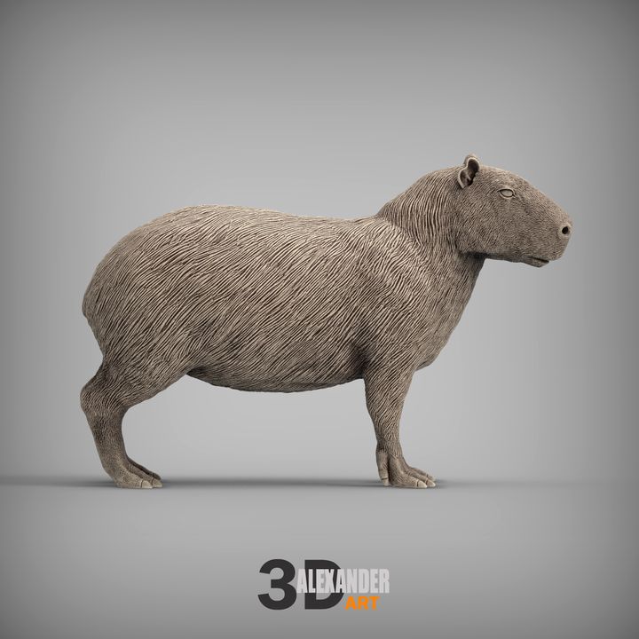 3D Printable capybara by Alexander3dart