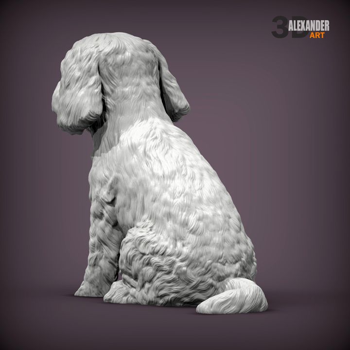 3D Printable maltese dog sitting by Alexander3dart