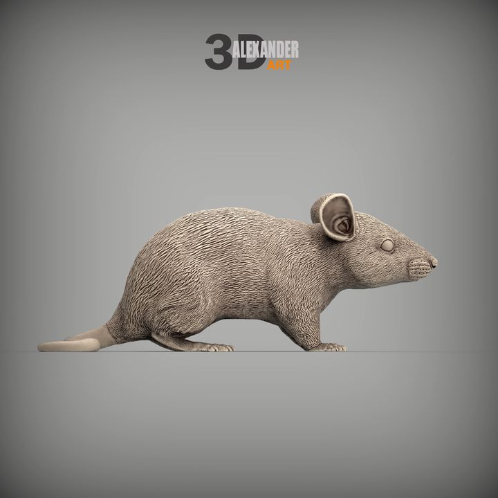 3D Printable mouse by AKUZMENKO