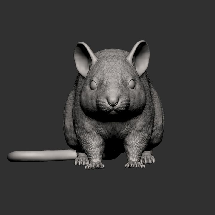 3D Printable mouse by AKUZMENKO
