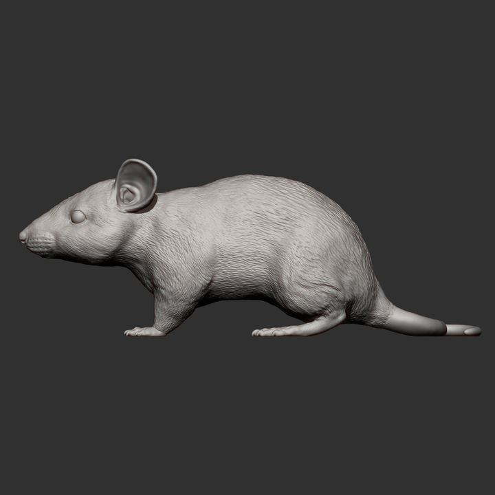 3D Printable mouse by AKUZMENKO
