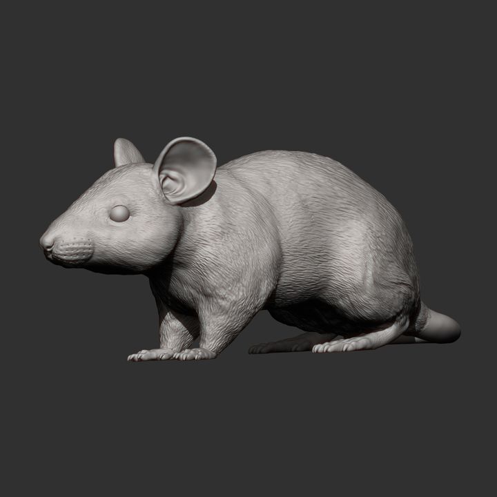 3D Printable mouse by Alexander3dart