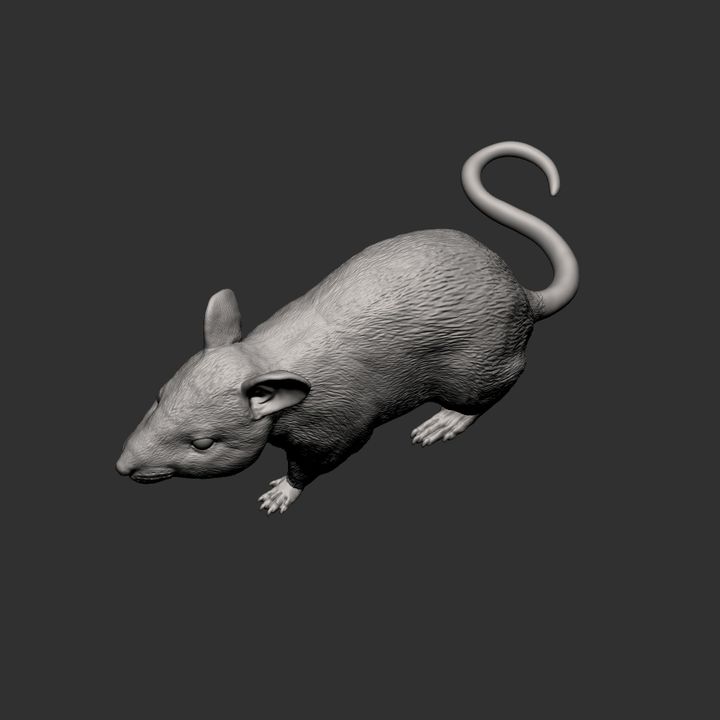 3D Printable mouse by Alexander3dart