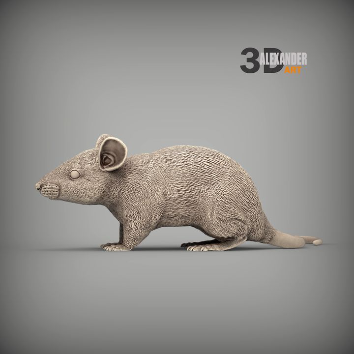 3D Printable mouse by AKUZMENKO