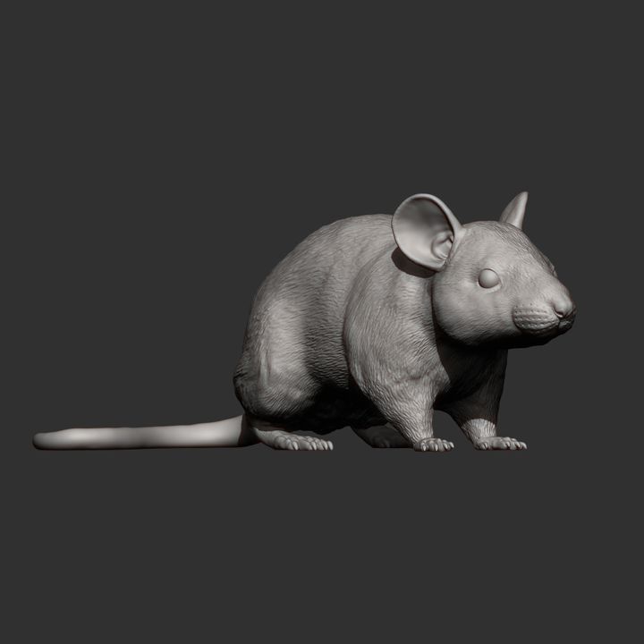 3D Printable mouse by Alexander3dart
