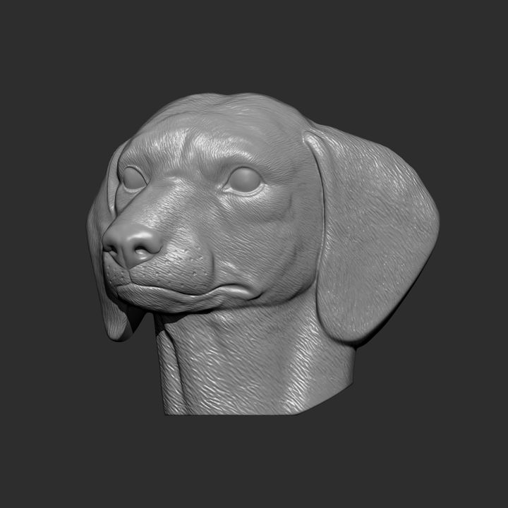 3D Printable Dachshund head relief by Alexander3dart