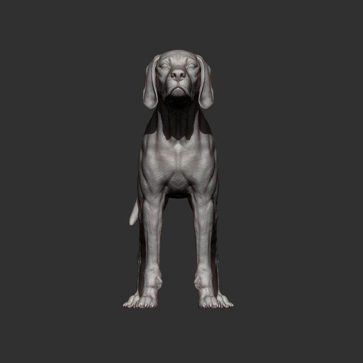 3D Printable English Pointer by Alexander3dart