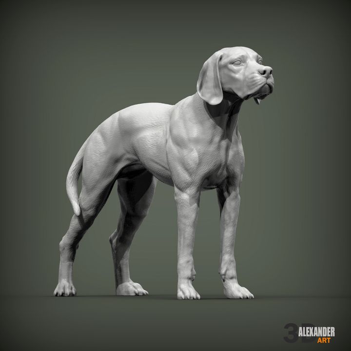 3D Printable English Pointer by Alexander3dart