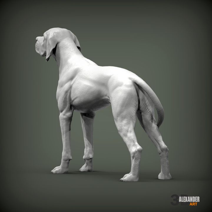 3D Printable English Pointer by Alexander3dart
