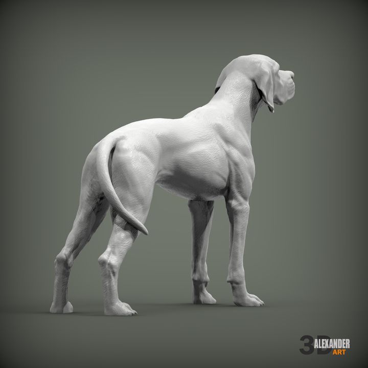 3D Printable English Pointer by Alexander3dart
