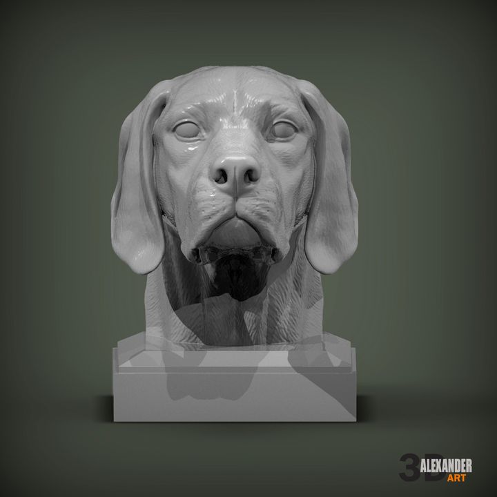 3D Printable English Pointer bust by Alexander3dart