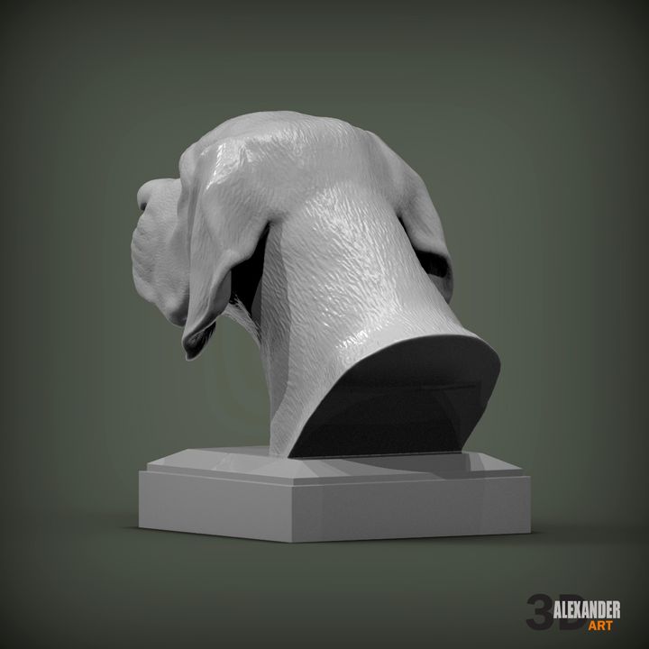 3D Printable English Pointer bust by Alexander3dart
