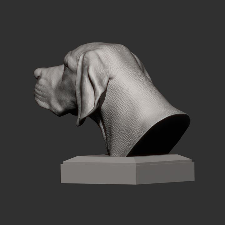 3D Printable English Pointer bust by Alexander3dart