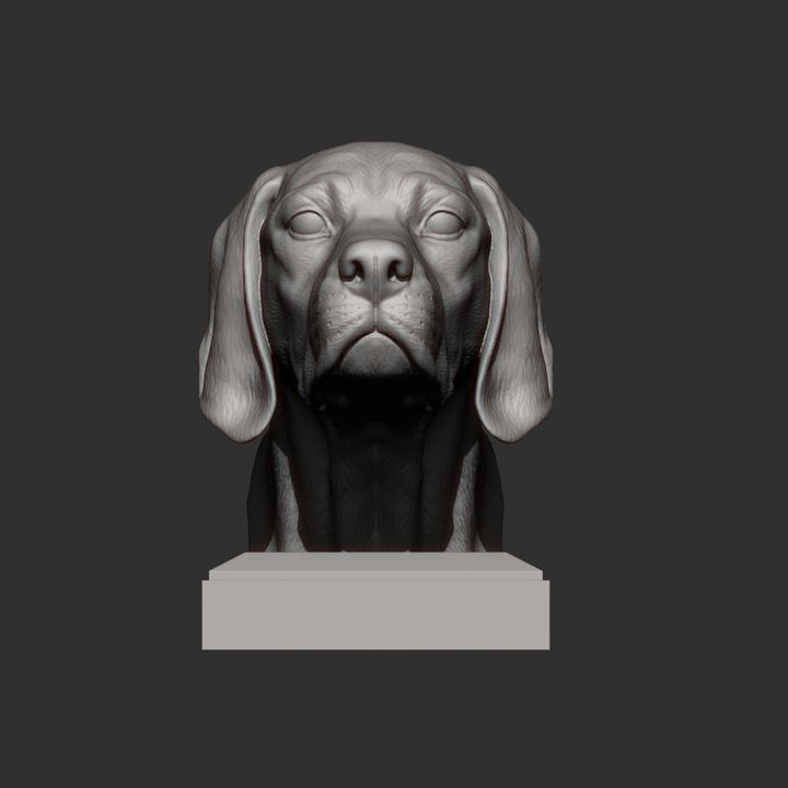 3D Printable English Pointer bust by Alexander3dart