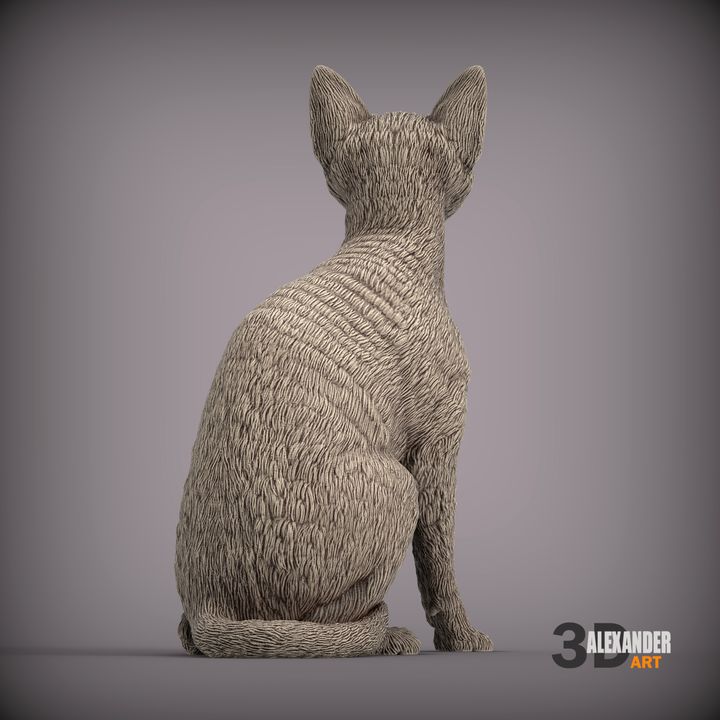 3D Printable devon rex by Alexander3dart