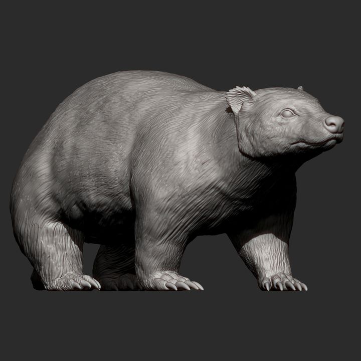 3D Printable European Badger by Alexander3dart