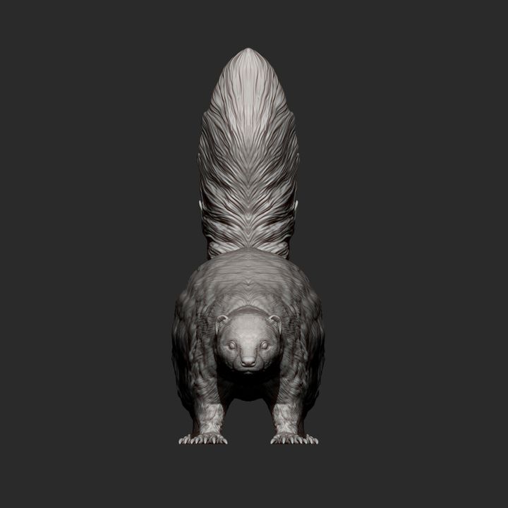 3D Printable Skunk by Alexander3dart