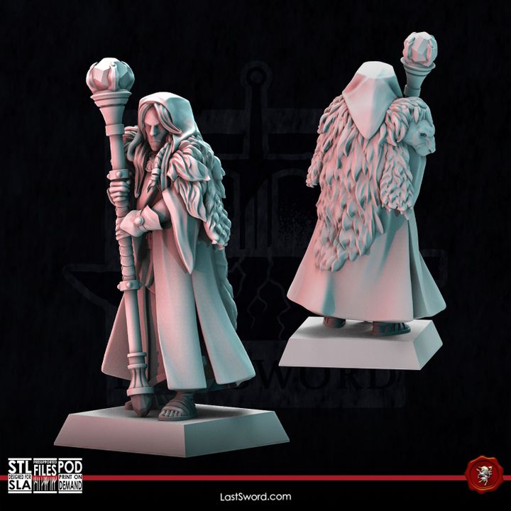 3D Printable Lion Mage by LastSword Miniatures