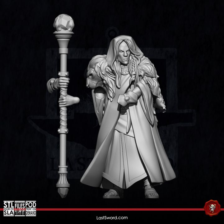 3D Printable Lion Mage by LastSword Miniatures