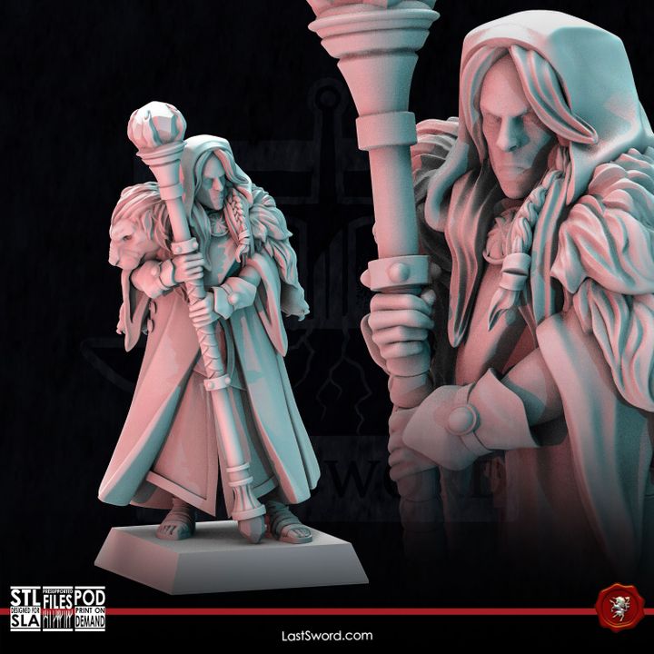 3D Printable Lion Mage by LastSword Miniatures