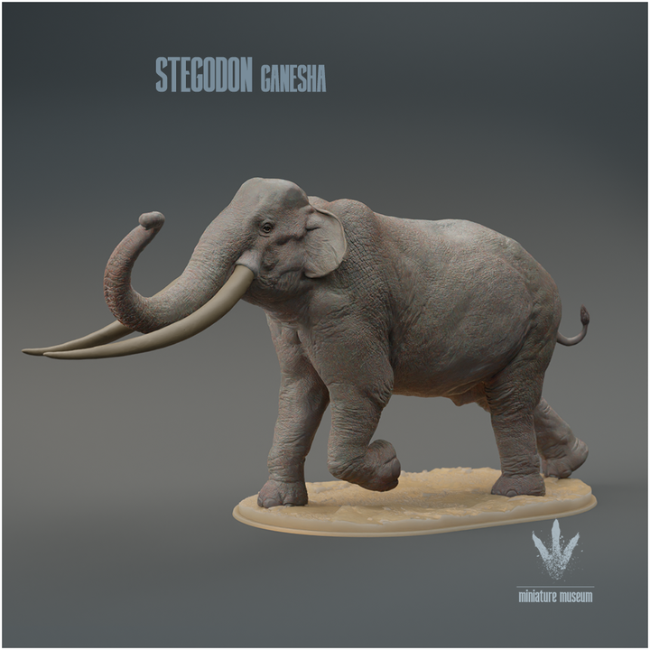3D Printable Stegodon ganesha : Walking by Miniature Museum