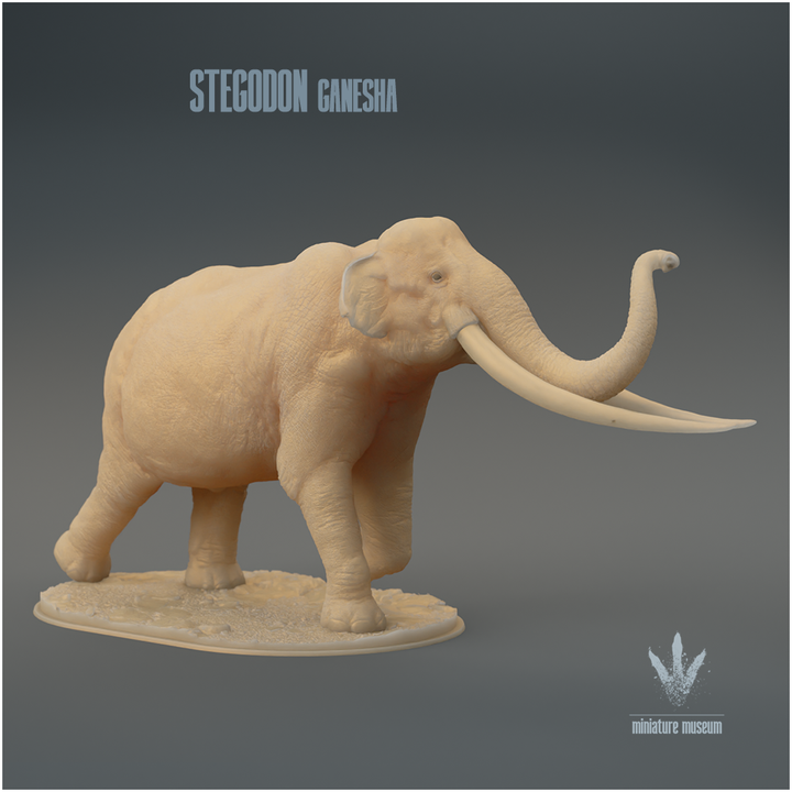 3D Printable Stegodon ganesha : Walking by Miniature Museum