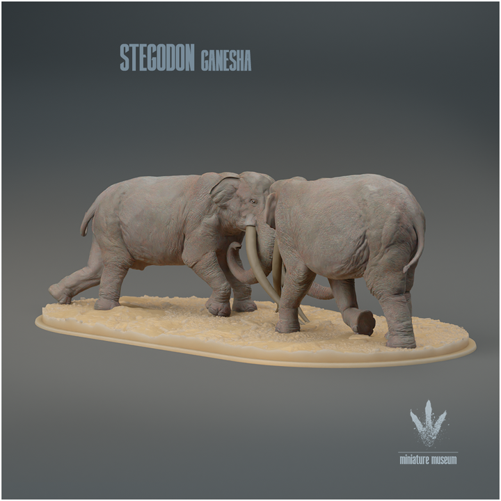 3D Printable Stegodon ganesha : Fight by Miniature Museum
