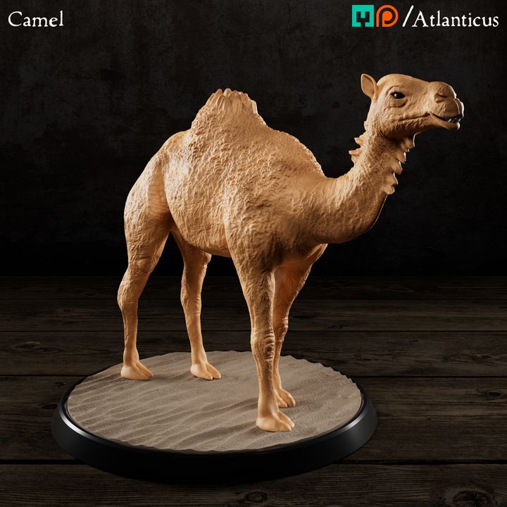 3D Printable Camel - Standing by Atlanticus Arts