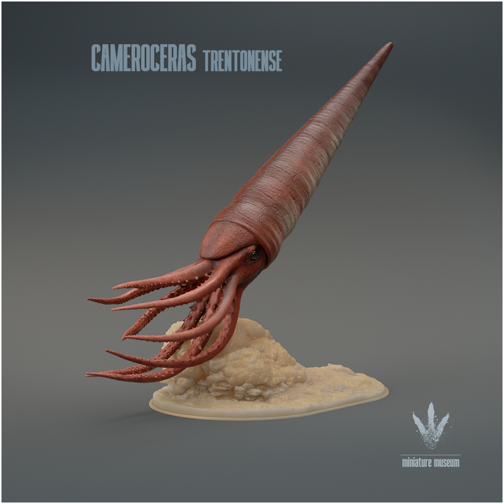 3D Printable Cameroceras trentonense : The Giant Cephalopod by ...
