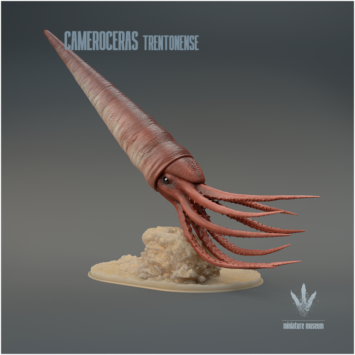 3D Printable Cameroceras trentonense : The Giant Cephalopod by ...