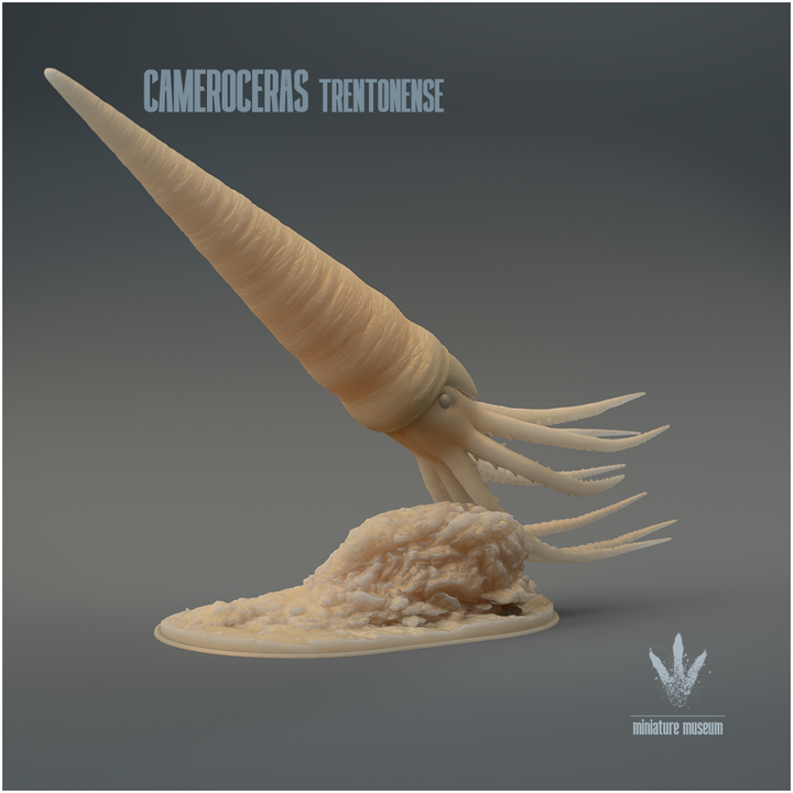 3D Printable Cameroceras trentonense : The Giant Cephalopod by ...