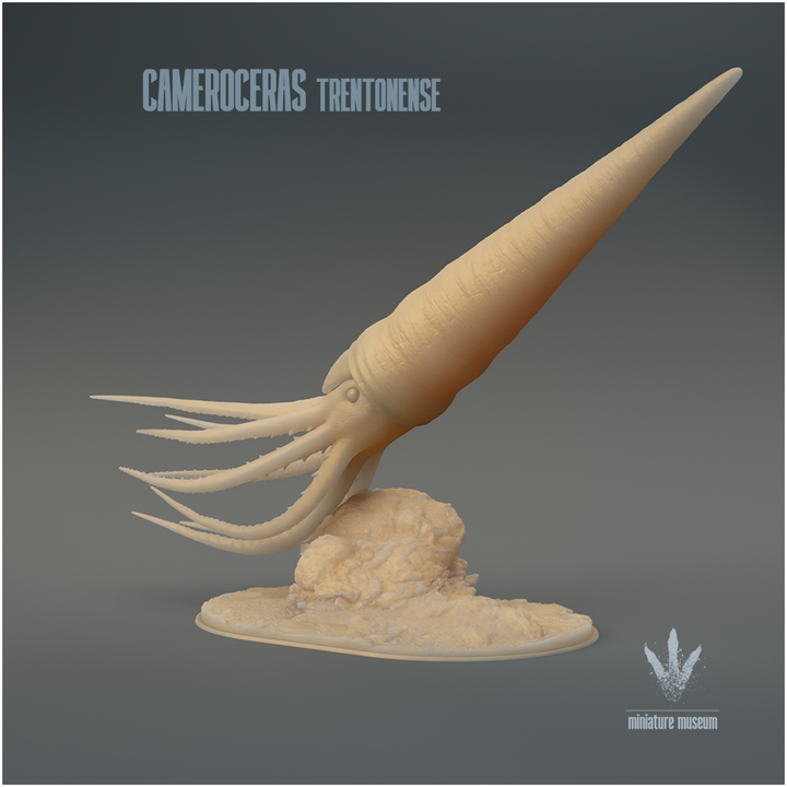 3D Printable Cameroceras trentonense : The Giant Cephalopod by ...