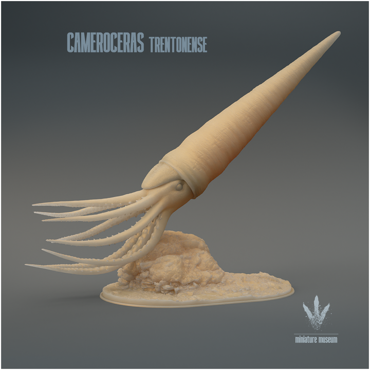3D Printable Cameroceras trentonense : The Giant Cephalopod by ...